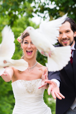 Jersey Shore Doves | Tri-State Area, NJ | White Dove Release, White Doves